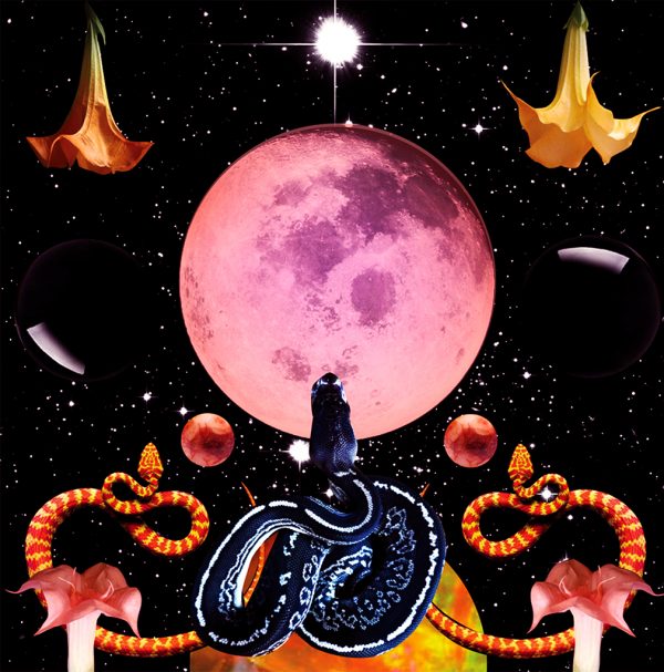 October 2019 Full Moon Tarotscopes – The Moon Studio