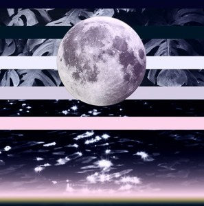 September 2019 Full Moon Tarotscopes – The Moon Studio