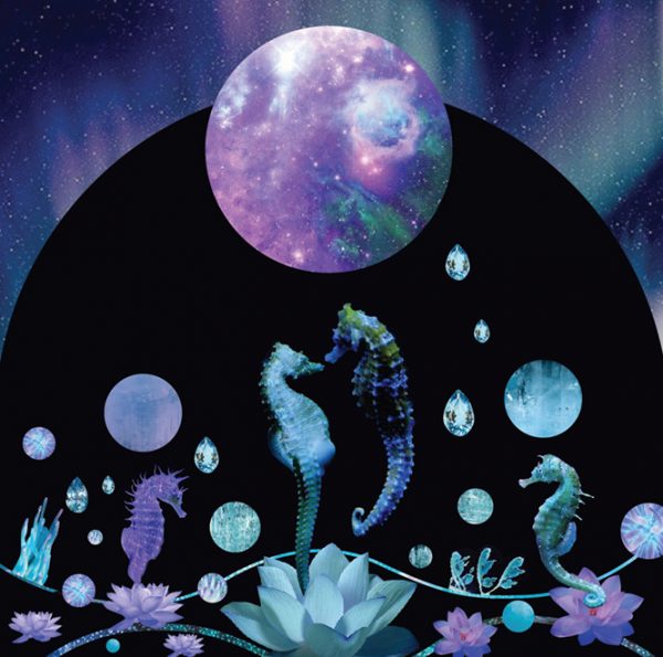 February 2020 New Moon – The Moon Studio
