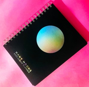 The 2020 Many Moons Lunar Planner – The Moon Studio