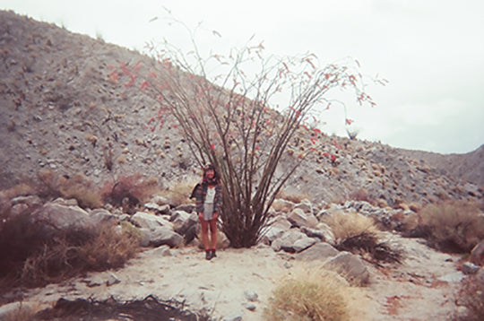 Interview with Liz Migliorelli – The Moon Studio