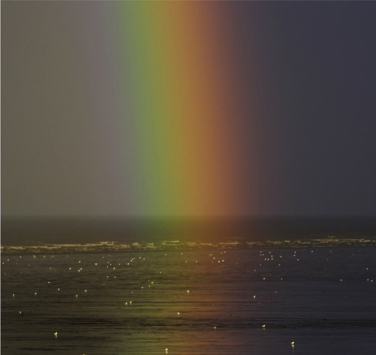 Moonbeaming – The Moon Studio